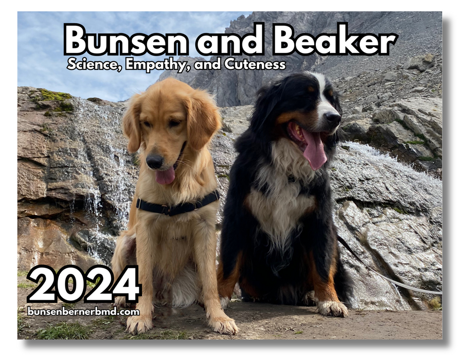 Bunsen Berner: The Science Dog Website – BunsenBerner