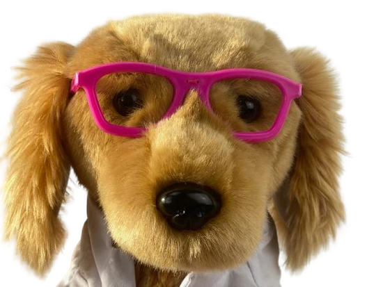 Bunsen Berner: The Science Dog Website – BunsenBerner