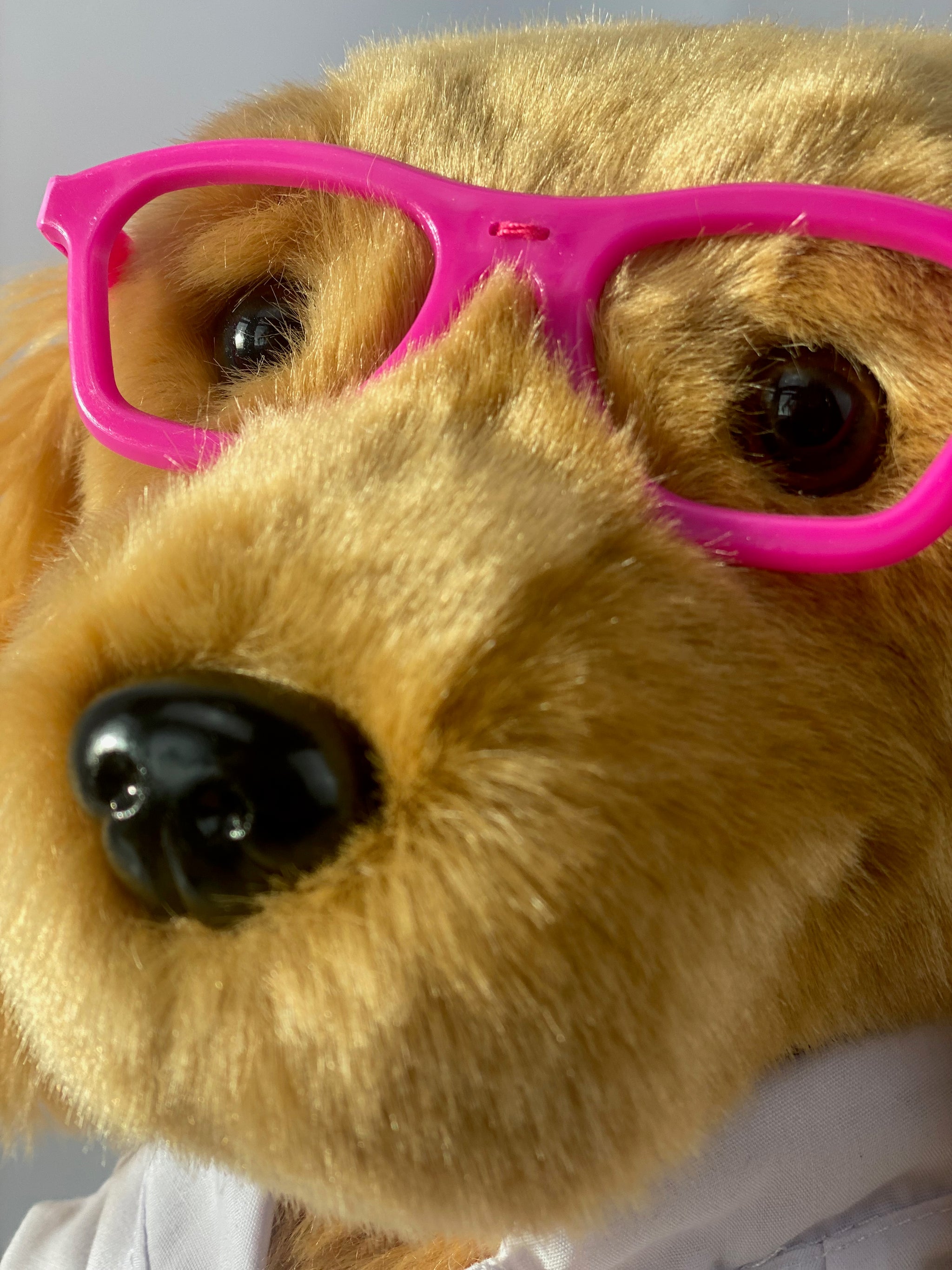 Bunsen Berner: The Science Dog Website – BunsenBerner